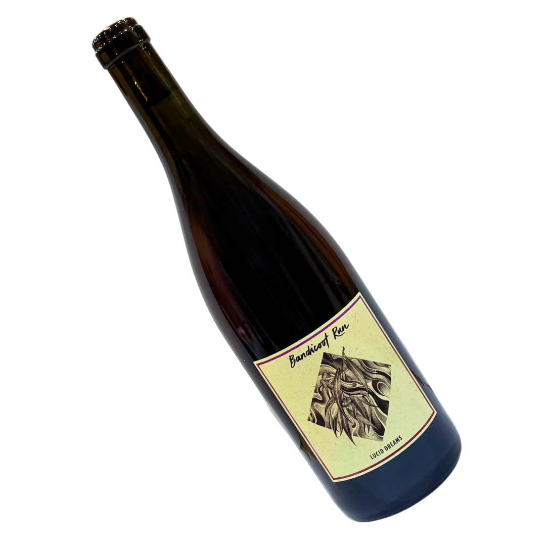 Bandicoot Run Lucid Dreams Rose 2024 – Smalls Cellar